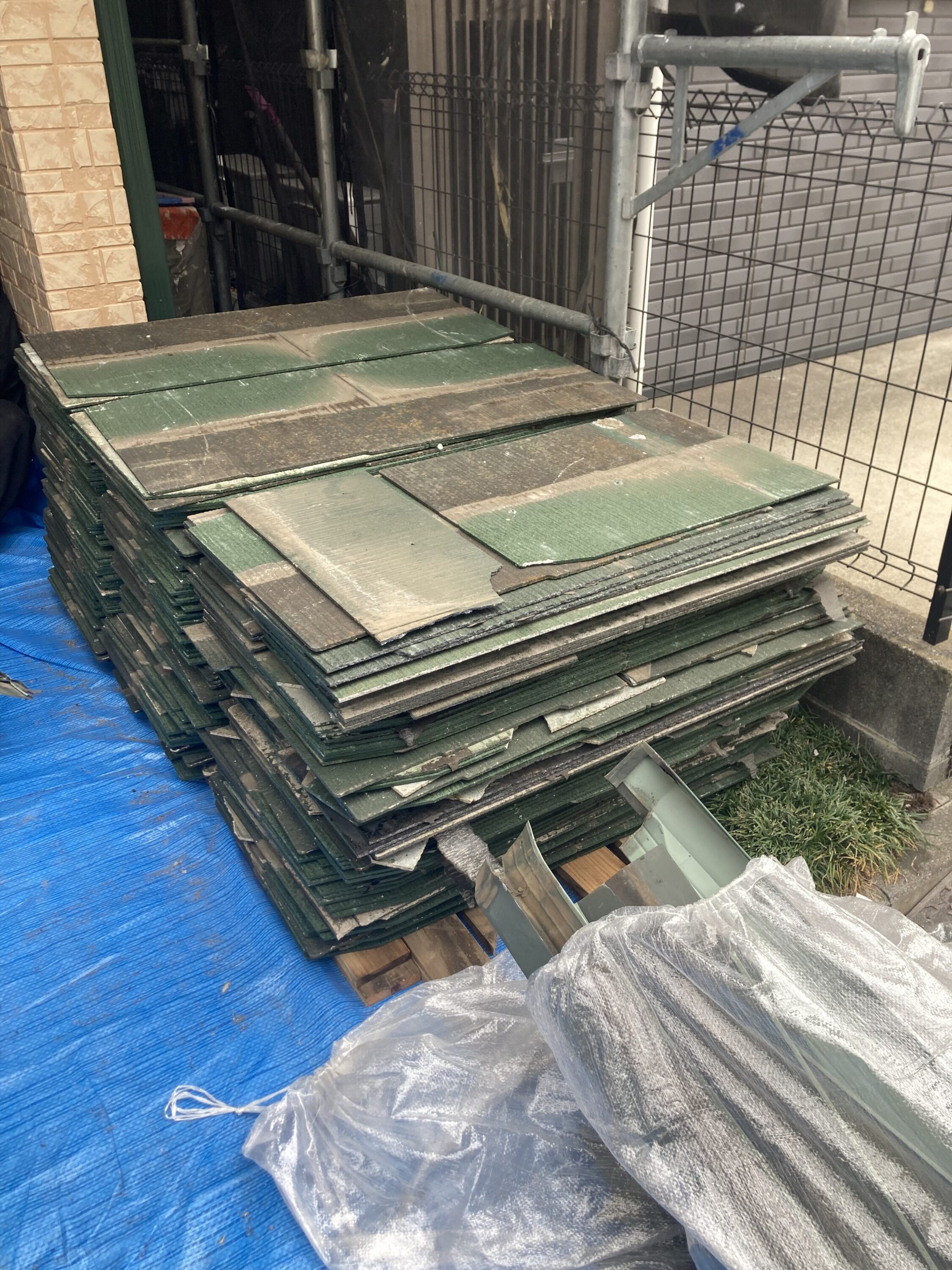 IMG_4953 | アセットフォー